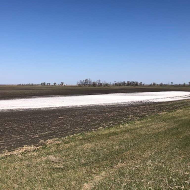Salt B Gone | Remove Salt from Agricultural Soils